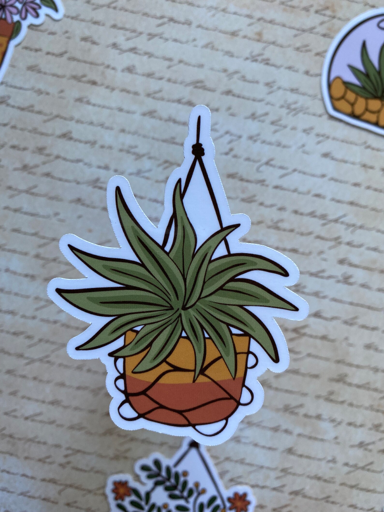 Pack of 8 Waterproof Vinyl Hanging Houseplant Stickers Cute - Etsy