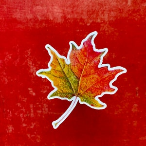 Pack of 15 Waterproof Vinyl Vintage Leaves Stickers, Retro Autumn Fall ...