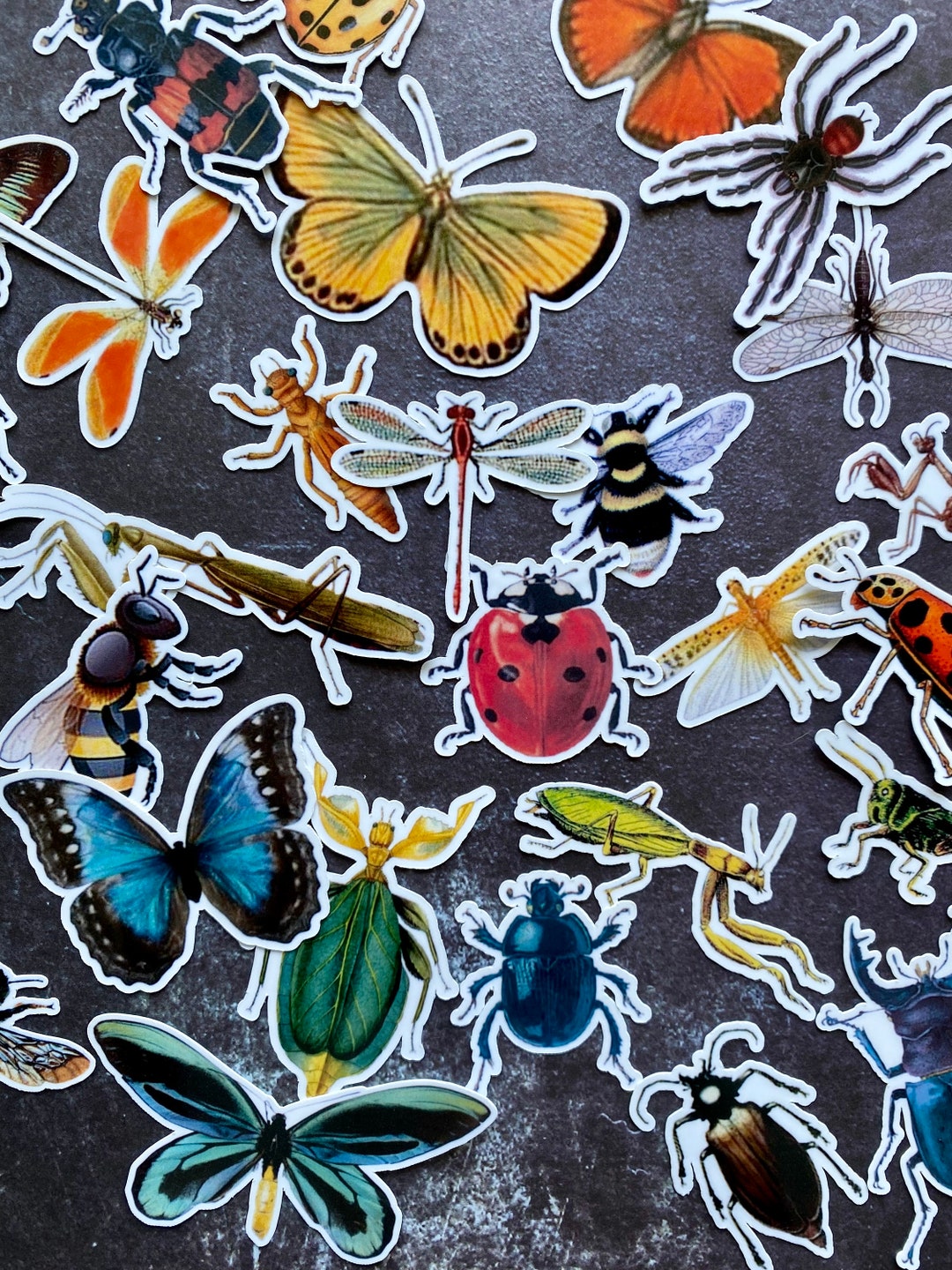 Pack of 28 Waterproof Vinyl Vintage Insect Stickers, Insect Ephemera ...