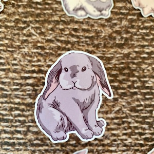 Pack of 10 Waterproof Vinyl Cute Rabbit Stickers, Easter Bunny Sticker ...