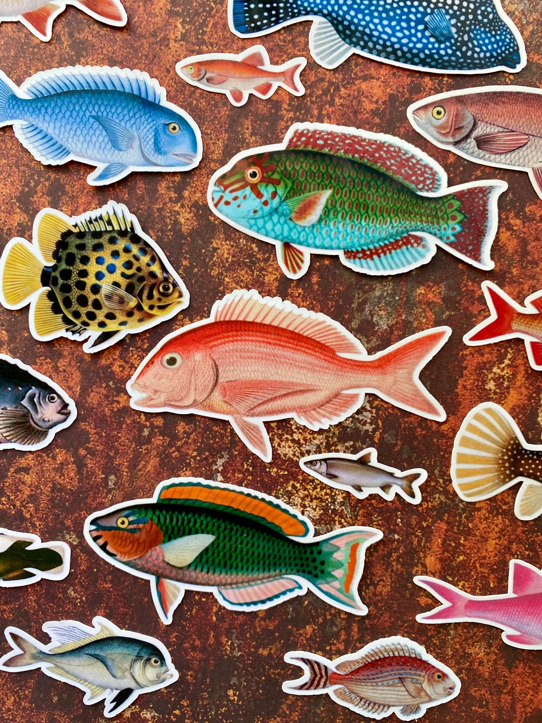 Pack of 23 Waterproof Vinyl Vintage Fish Stickers, Fish Ocean Ephemera ...