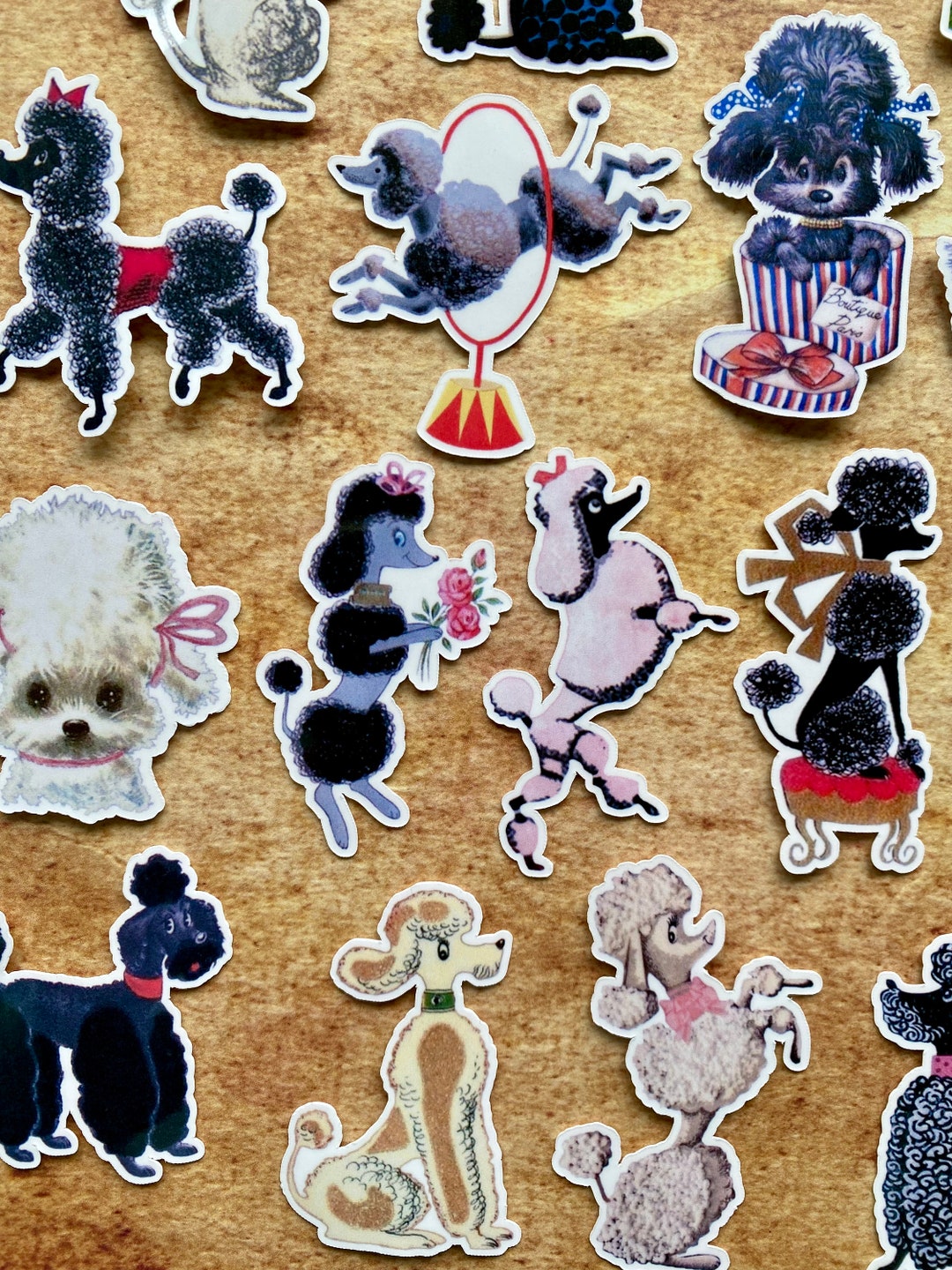 Pack of 16 Waterproof Vinyl Vintage Poodle Dog Stickers, Retro French ...