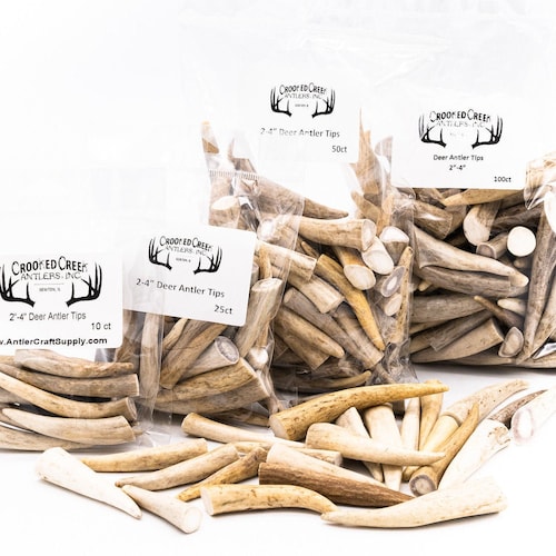 Deer Antler Craft Tips 2 4 Length Antler for - Etsy