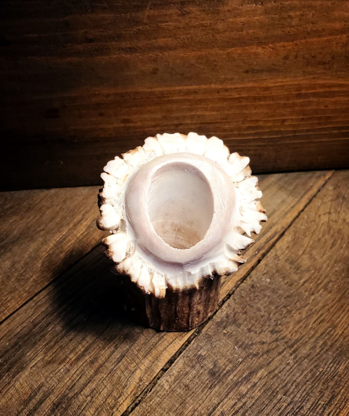 Deer Antler Burr Toothpick Holder | Etsy