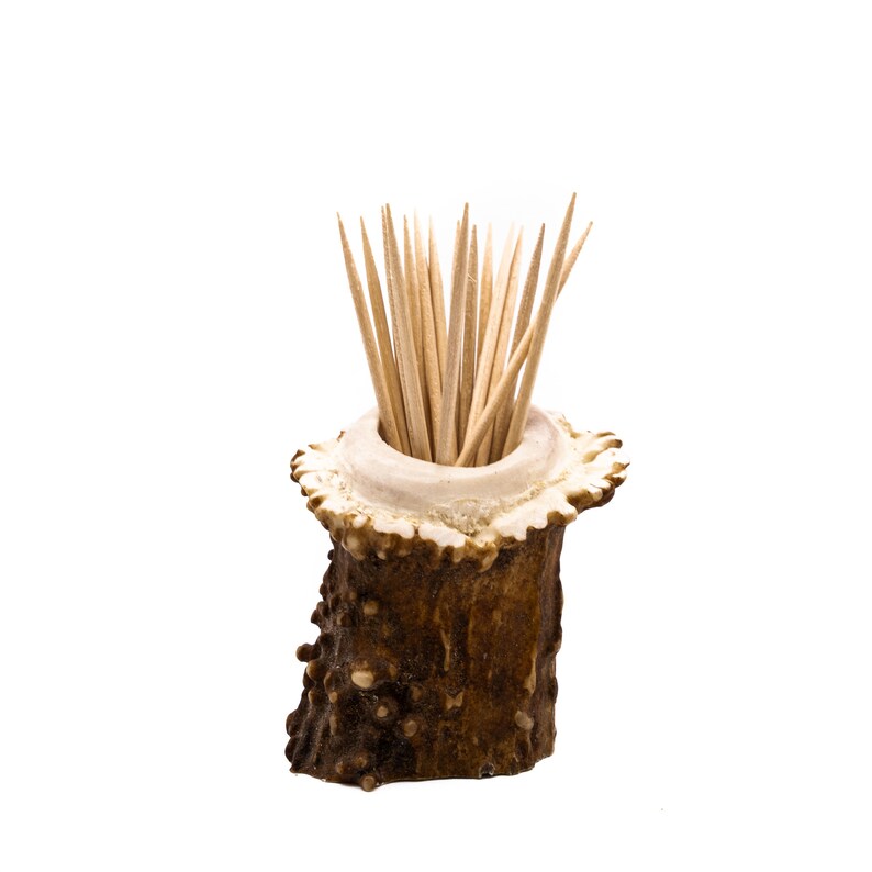 Crooked Creek Antler Art Antler Toothpick Holder Antler in | Etsy