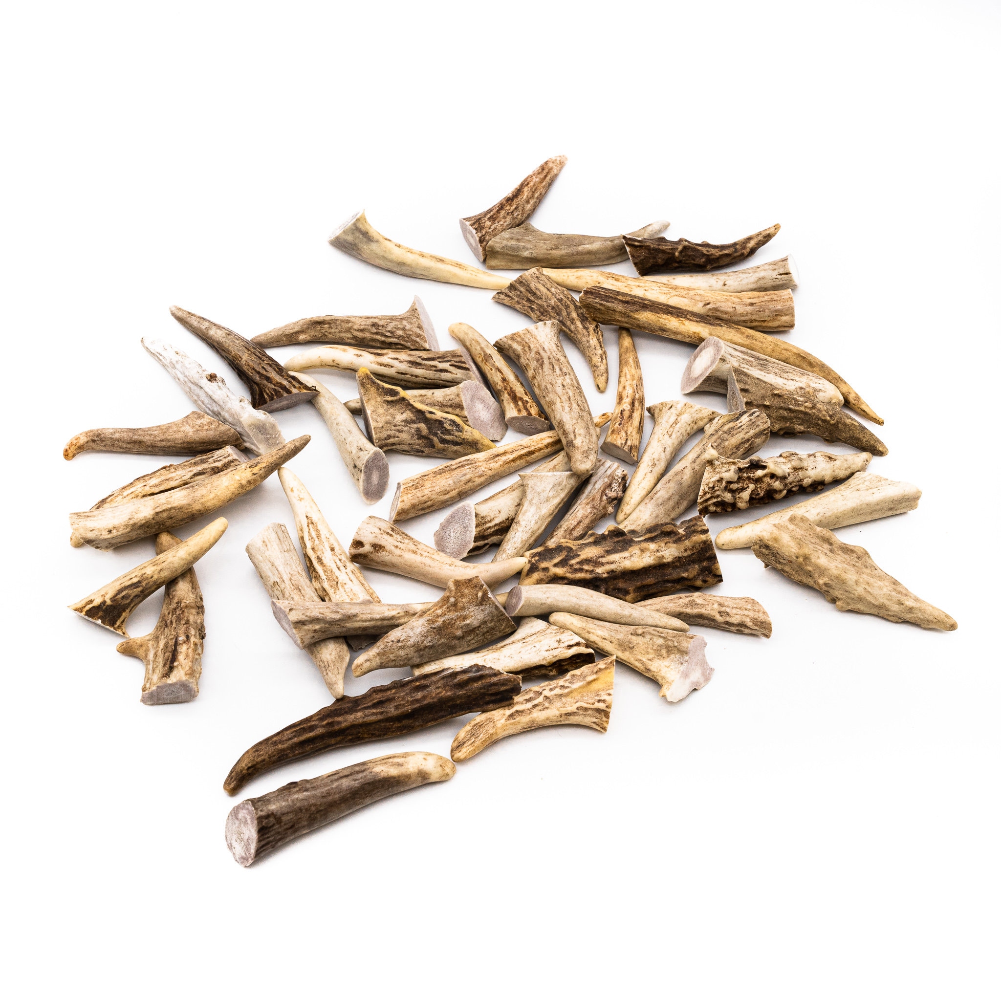 Deer Antler Brow Tines: Natural Shed Antler Pieces for Crafting - Etsy