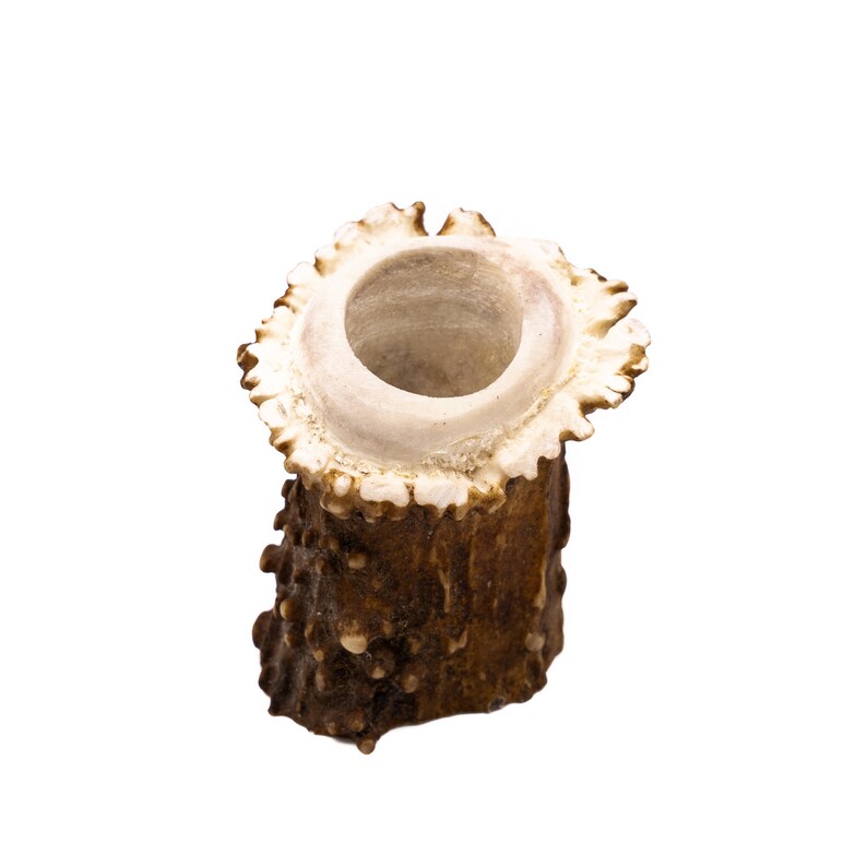 Crooked Creek Antler Art Antler Toothpick Holder Antler in | Etsy