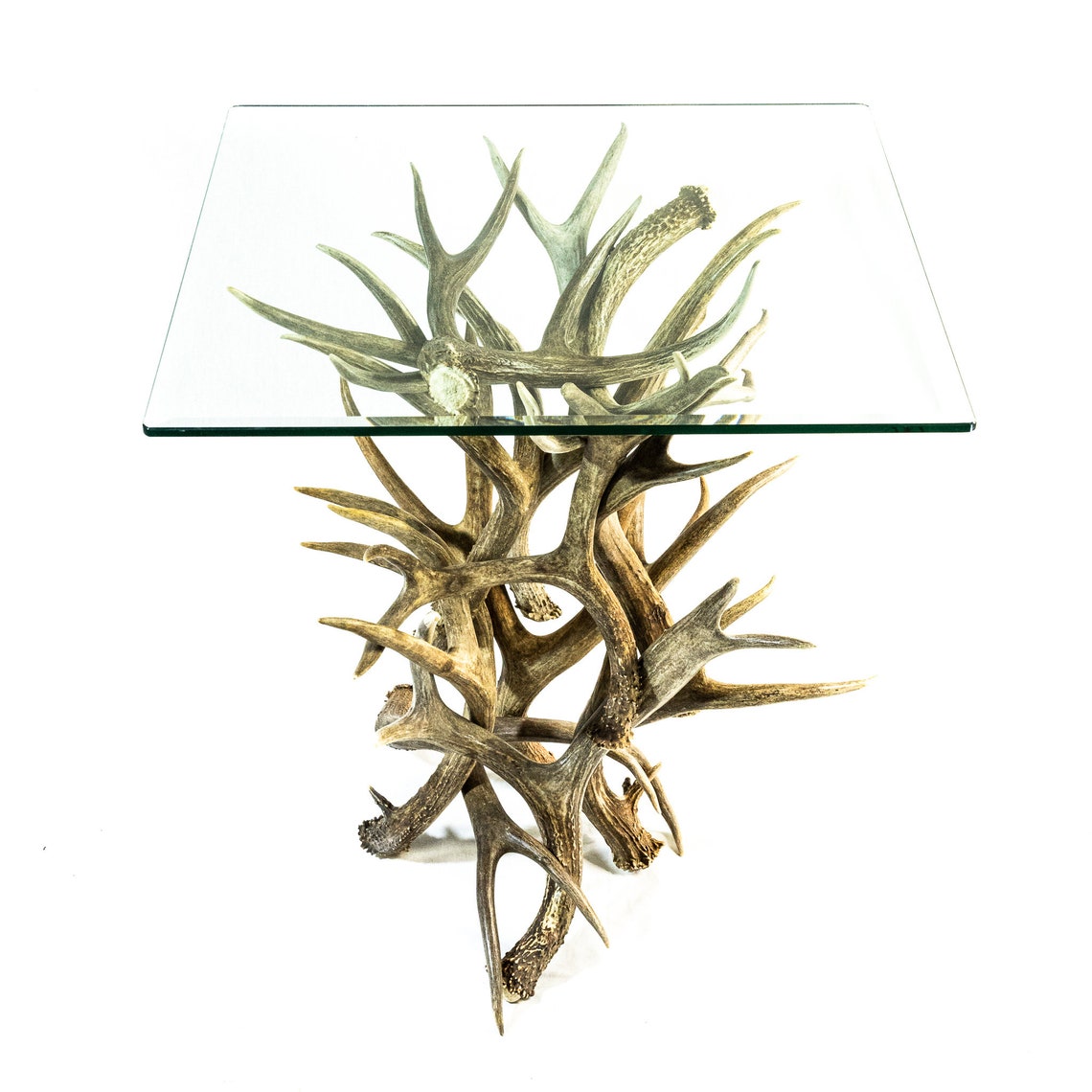 Mule Deer Antler End Table With Glass Top - Etsy