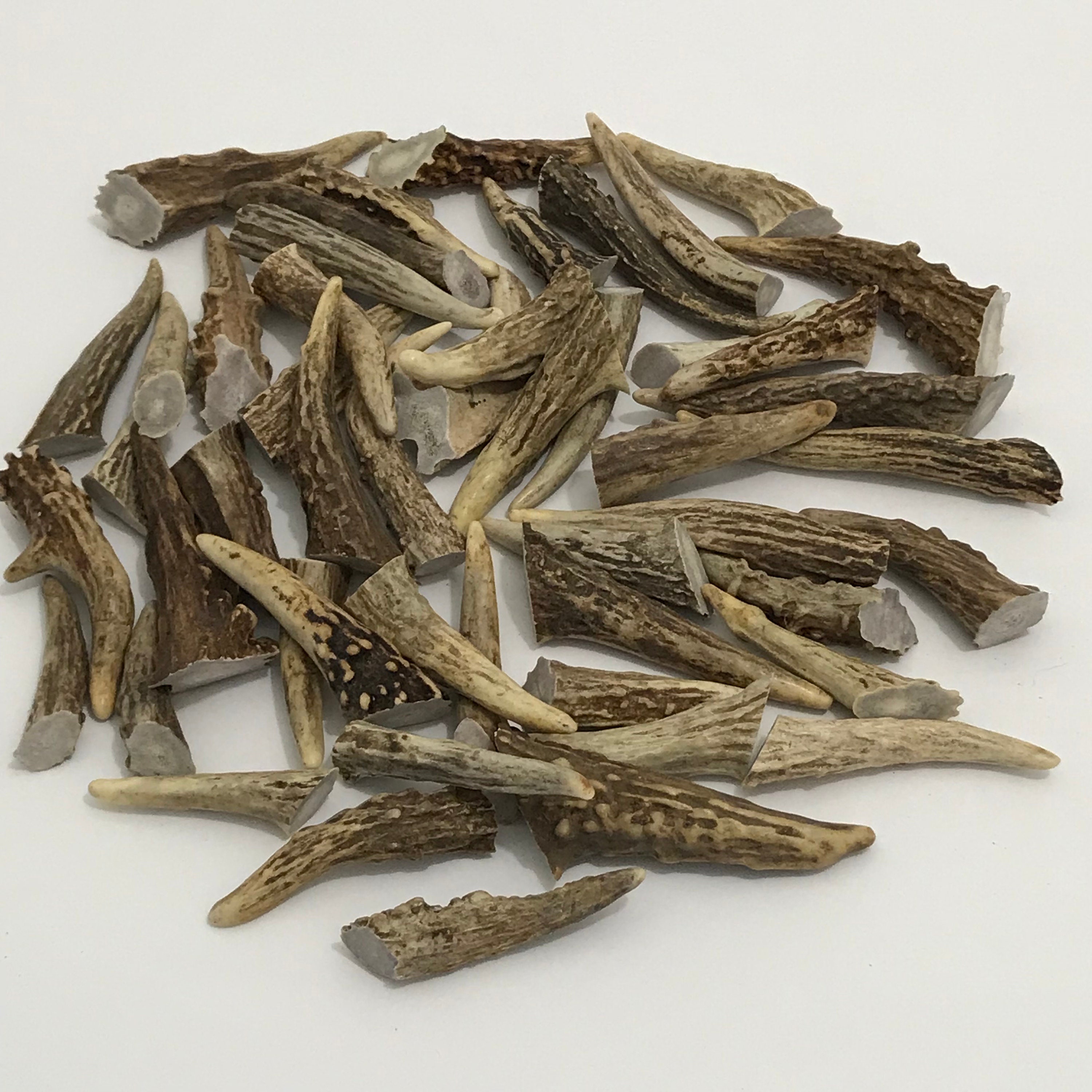 50 ct Deer Antler Brow Tines 2-4 1 & 2 antler for | Etsy