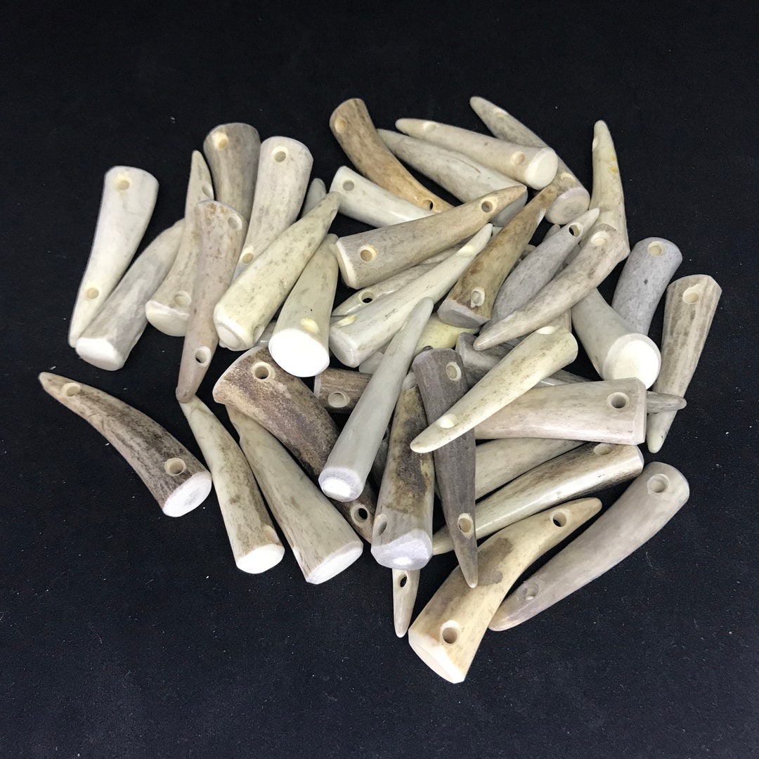 50 Ct Deer Antler Tip Bracelet Link (1.75" - 2.25" - Antler for Craft ...