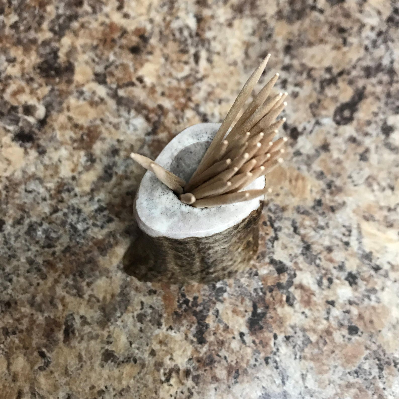 Elk Antler Toothpick Holder Dispenser - Teeth Cleaning, Small ...