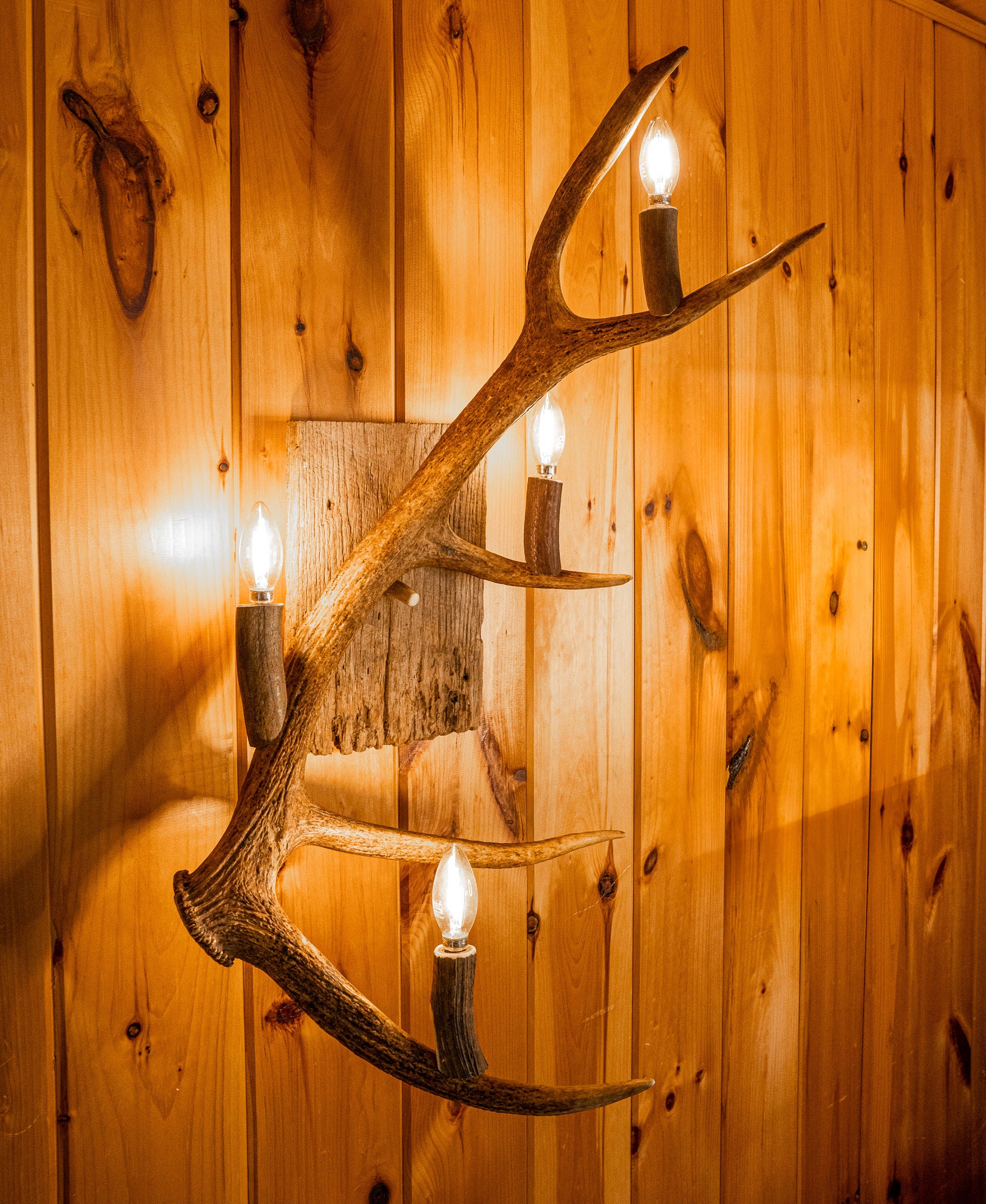 Elk Antler Four Light Sconce Rustic Decor Country Home | Etsy