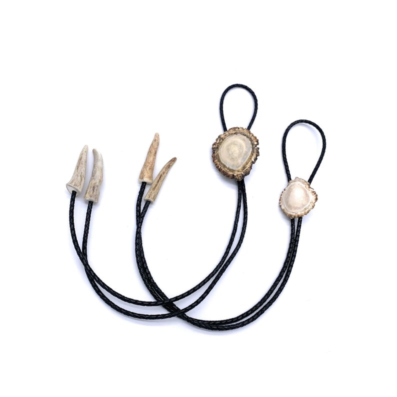 Polished Deer Antler Burr Bolo Tie W/ Antler Tips Hunting - Etsy