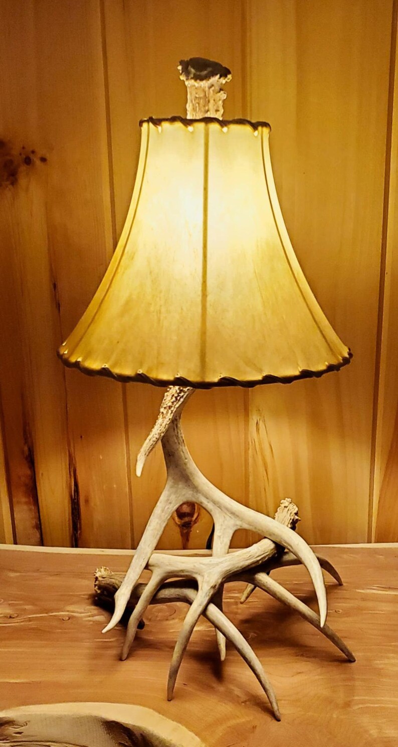 Small 3-4 Whitetail Deer Shed Antler Lamp Rustic Country - Etsy