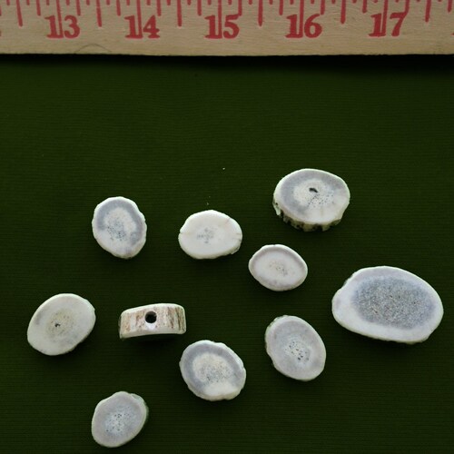 Antler Beads 10 Count Antler for Crafts Antler for Jewelry - Etsy