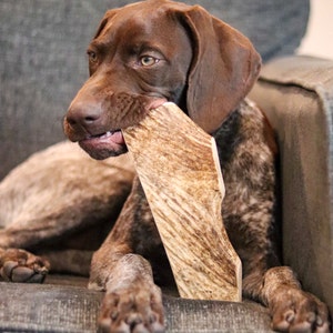 Large Moose Antler All Natural, Grade A, Premium Antler Dog Treats ...