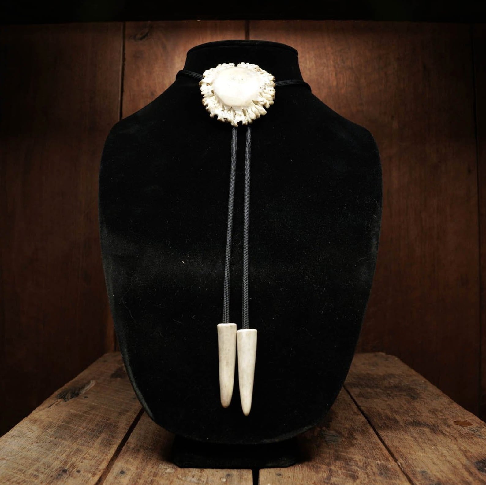 Polished Deer Antler Burr Bolo Tie W/ Antler Tips Hunting - Etsy