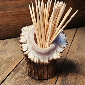 Deer Antler Burr Toothpick Holder - Etsy