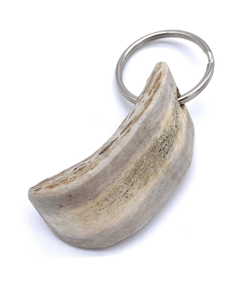 Polished Antler Keychain (key Chain for Men / Boyfriend) - Etsy