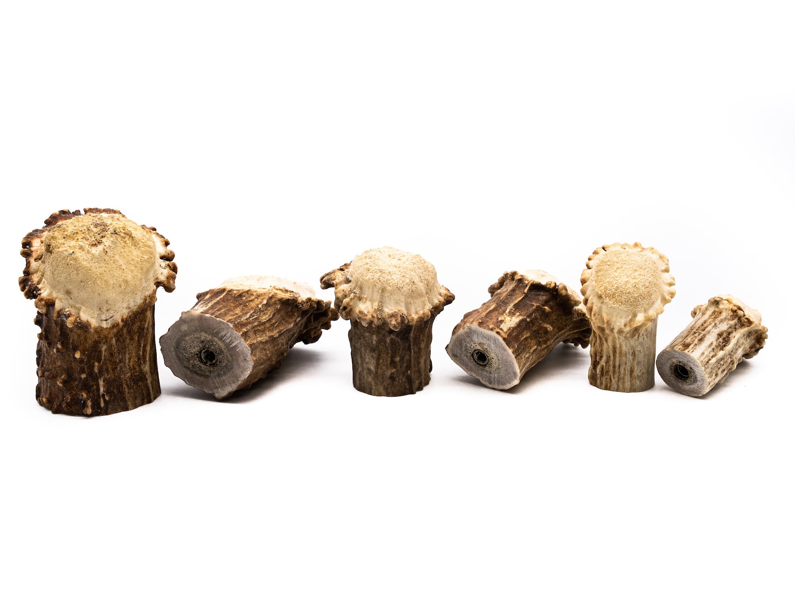 Natural Deer Antler Burr Cabinet Knob Antler Cabinet Knobs | Etsy