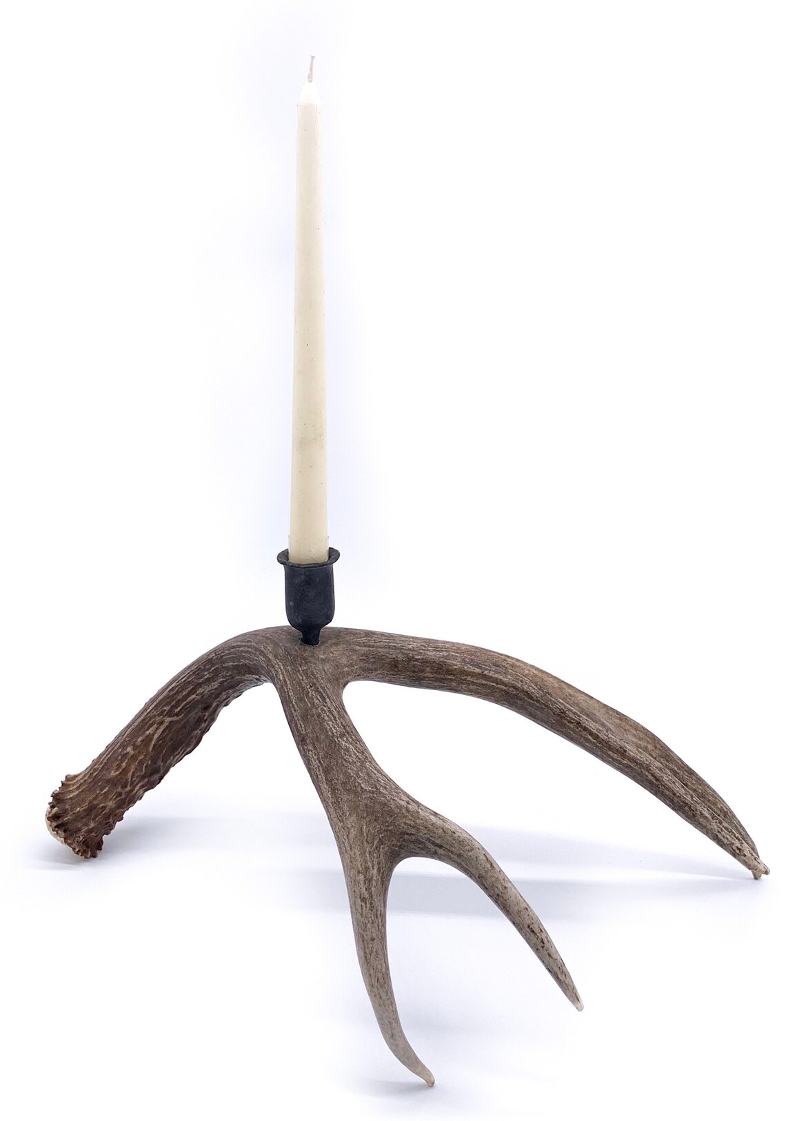 Whitetail Deer Antler Candle Holder Hand Forged Wrought Iron | Etsy
