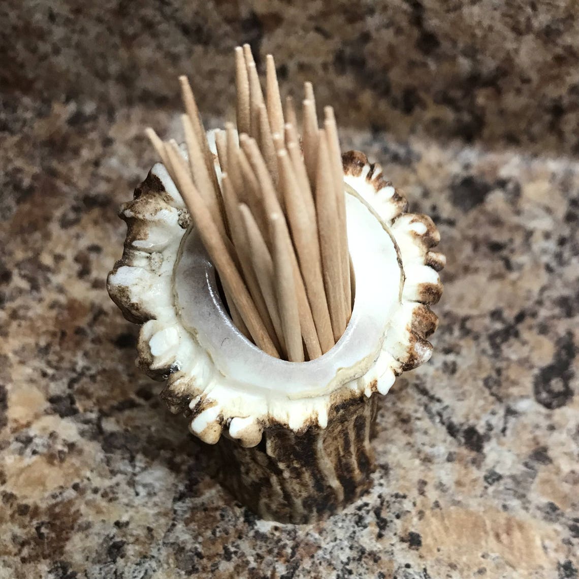 Deer Antler Burr Toothpick Holder | Etsy