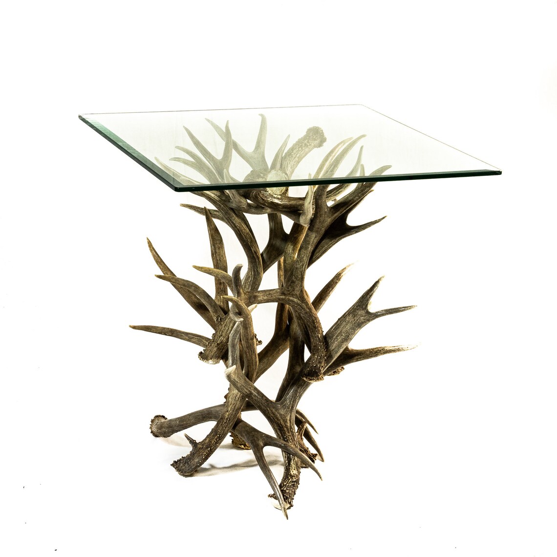 Mule Deer Antler End Table With Glass Top - Etsy