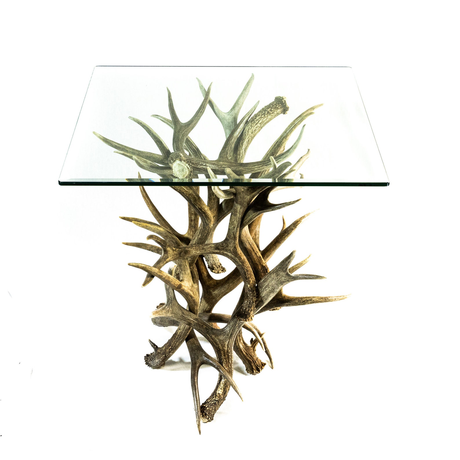 Mule Deer Antler End Table With Glass Top - Etsy