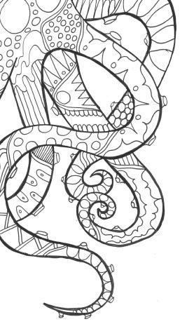 Octopus Colouring-in Image - Etsy
