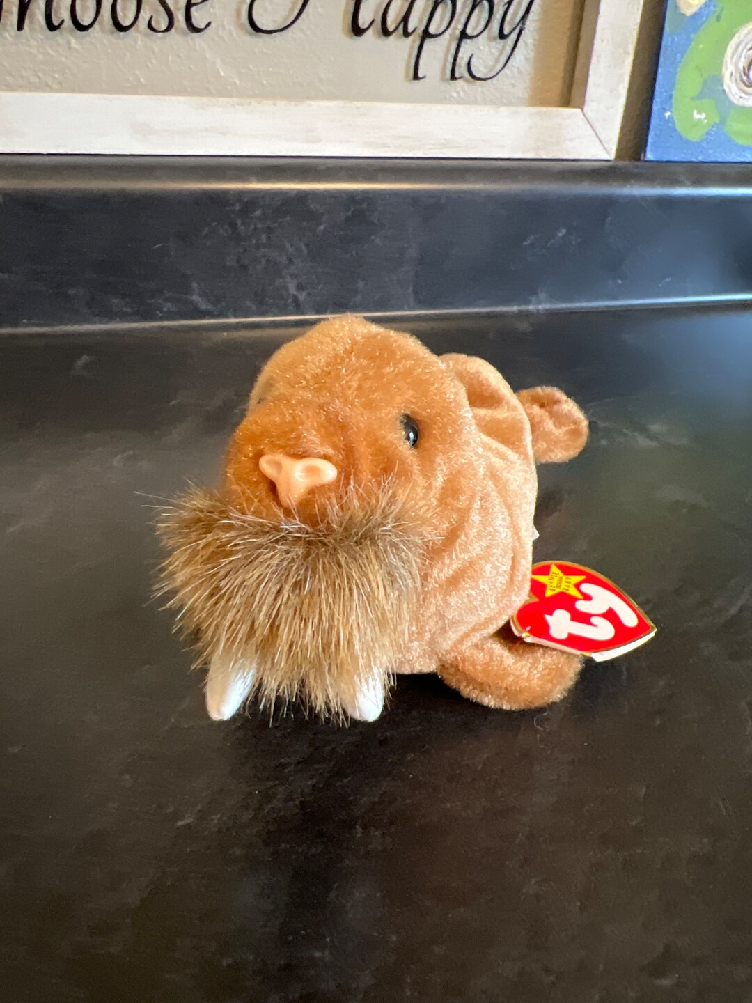 Paul-ty Beanie Baby - Etsy