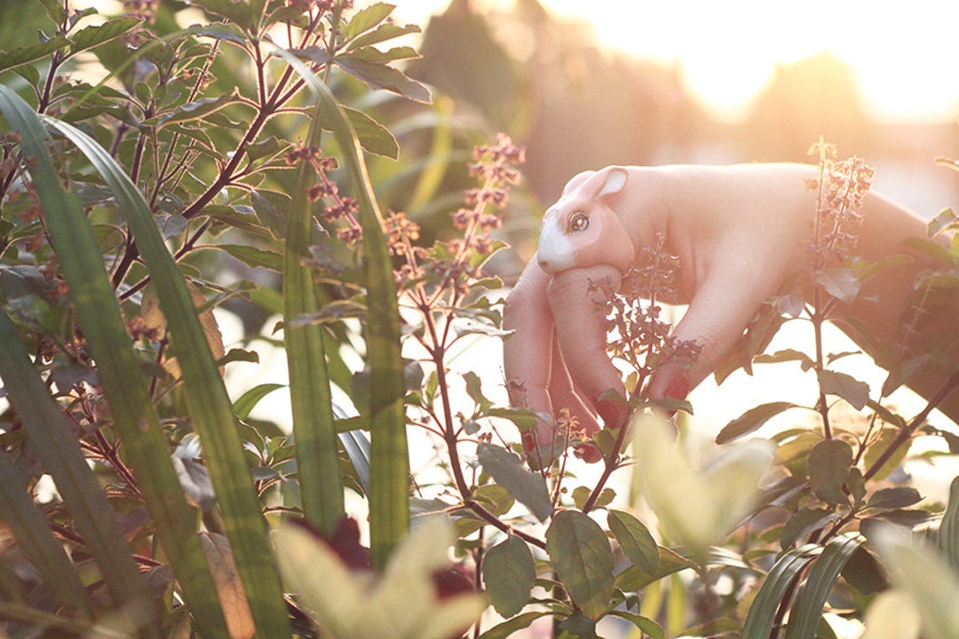 May, Rabbit Ring , Animal Ring - Etsy