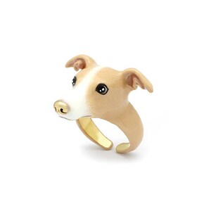 Onetwo Italian Greyhound Ring Fawn , Iggy , Italian Greyhound , Animal ...