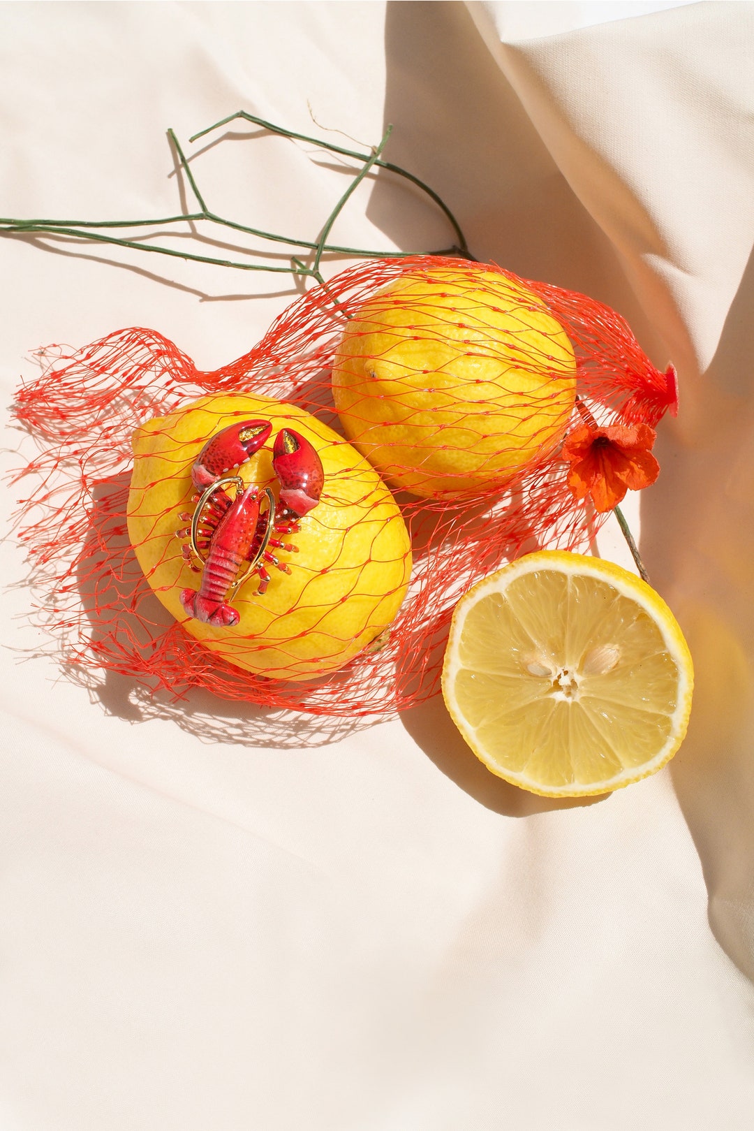 Red Lobster Brooch, Enamel Pin, Ocean Creature, Hand-painted, Lobster ...