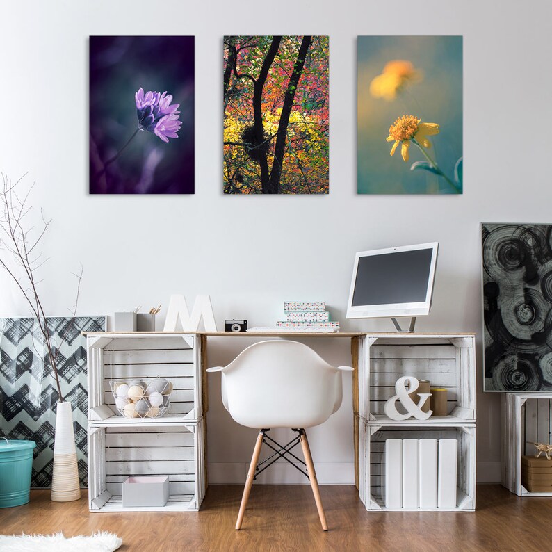 Gallery Wall Art Set of 3 Photographs With Print Options Home Decor ...