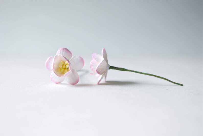 Paper Flower, 50 Pieces, Size 2.5 Cm. Cherry Blossom, Soft Pink Brush ...