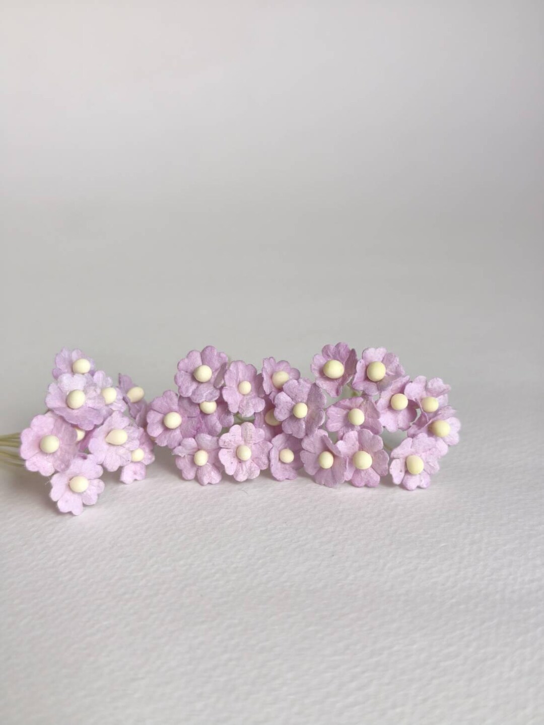Pastel Purple Paper Flowers: Creeping Lady Flower Supplies (100 Pcs) - Etsy