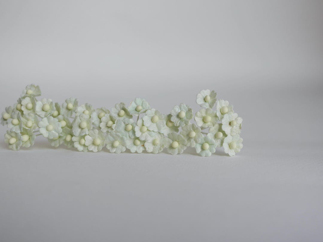 Paper Flower, 100 Pcs. Paper Flowers Supplies; Small Flowers, Creeping ...