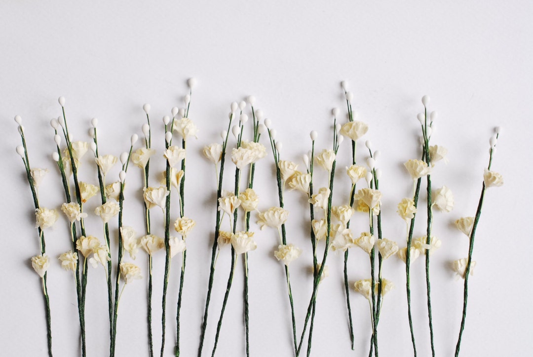 Paper Flower, 20 Cream White,baby Breath With Pollen. - Etsy