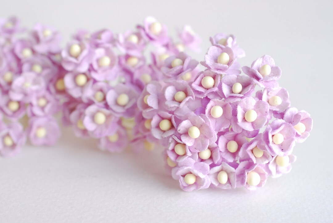 100 Pale Purple Paper Hydrangea Flowers: Ivory Pollen, 0.8cm - Etsy