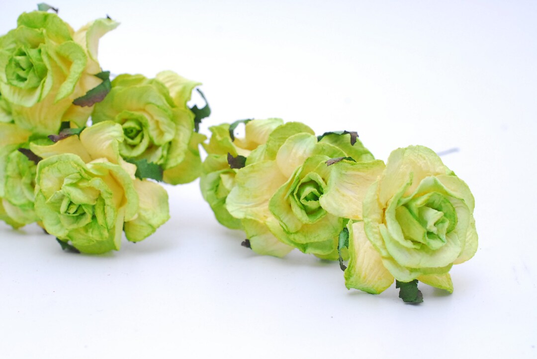Handmade Paper Roses: Fresh Green Brush Ivory, 4cm, 25 Pcs - Etsy