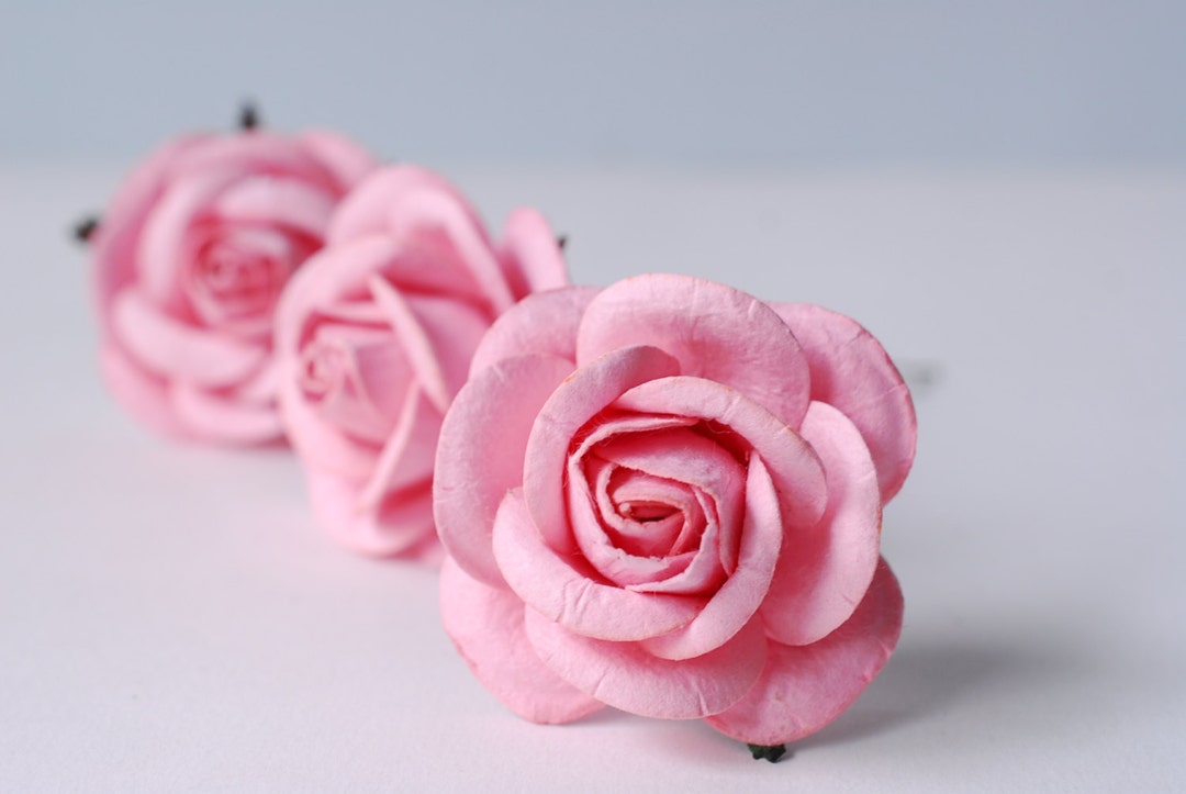 Paper Flower, 20 Pieces Mulberry Rose Size L, Pink Colors. - Etsy