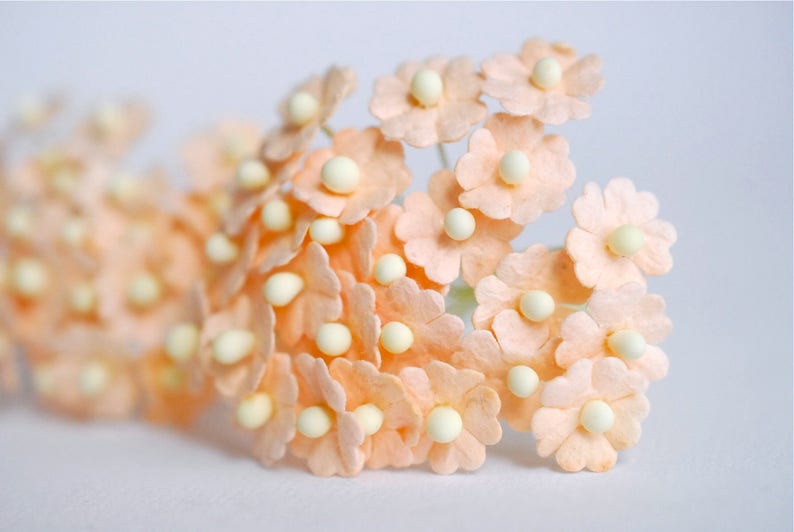 Paper Flower 100 Pieces .small Creeping Lady Flowers Size 1.5 - Etsy