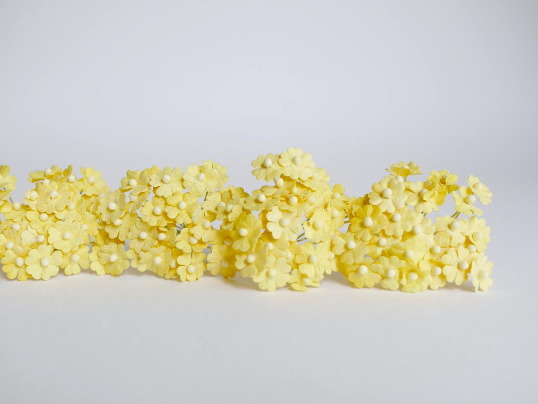Yellow Paper Flowers: 1.5cm Handmade Creeping Lady Flowers (100 Pieces ...