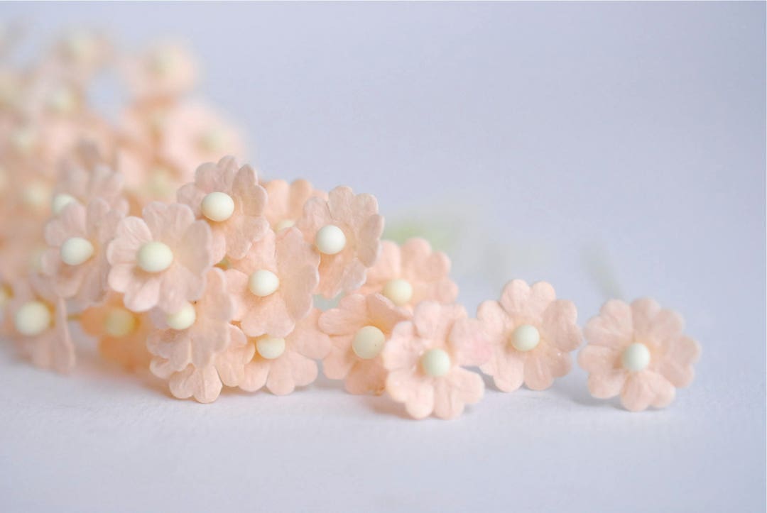 Paper Flower, 100 Pieces .small Creeping Lady Flowers Size 1.5 Cm ...