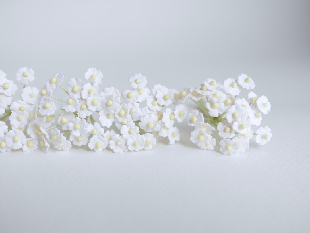 Paper Flower, 100 Pcs. DIY Paper Flowers Supplies; Small Flowers, Gift ...