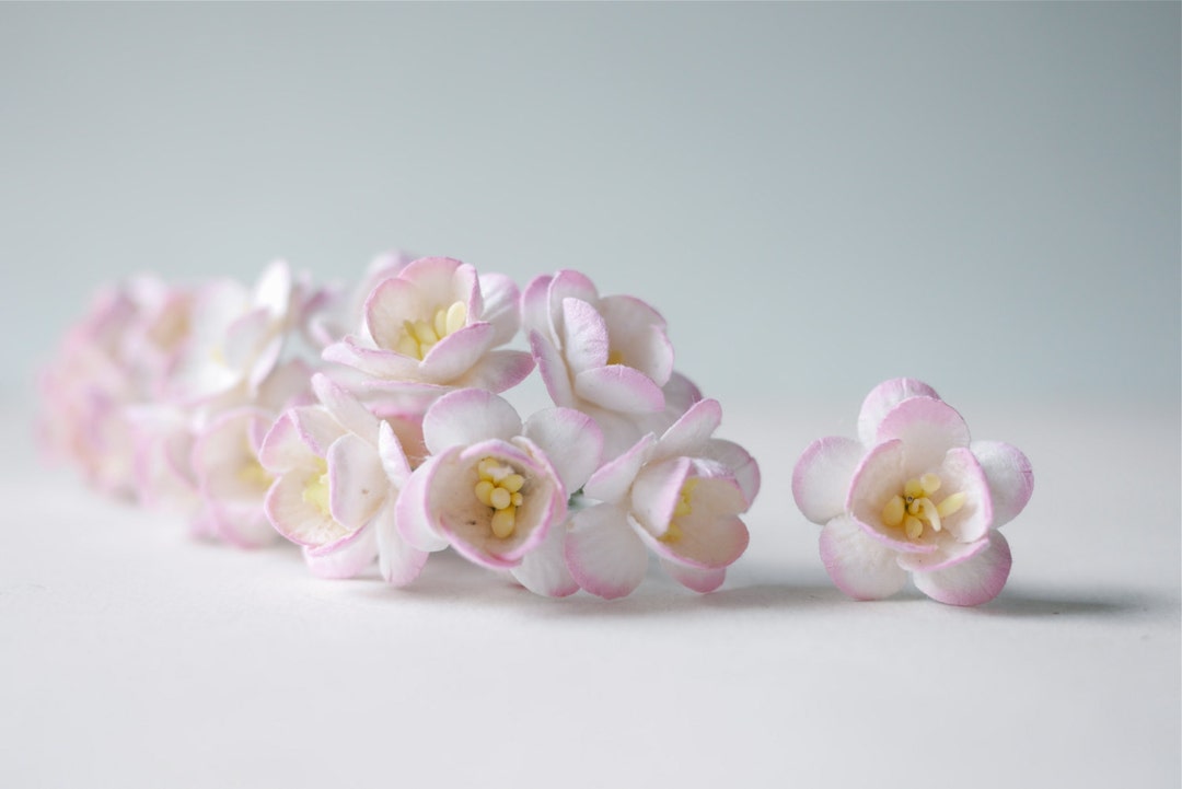 Paper Flower, 50 Pieces, Size 2.5 Cm. Cherry Blossom, Soft Pink Brush ...