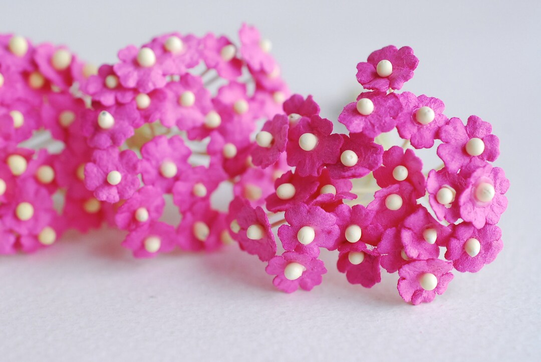 Paper Flower, 100 pcs. Paper flowers supplies small flowers, Creeping ...