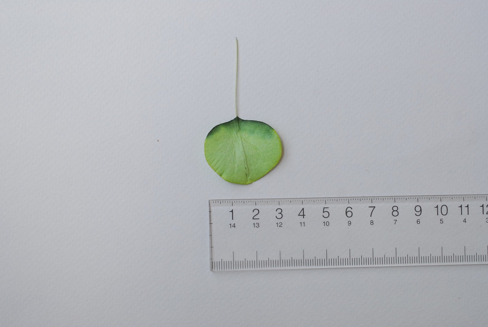 PAPER LEAVES Leaves DIY Wedding Supplies Gift Decoration - Etsy