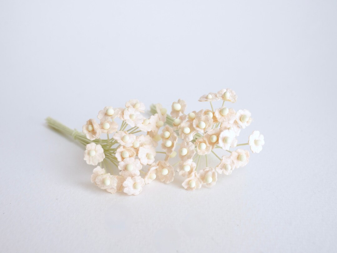 Egg Cream Paper Flowers: Small Creeping Lady Flowers, 100 Pcs - Etsy