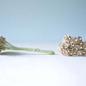 Paper Flower, 100 Pcs. 0.8 Cm. Creeping Lady Flower, Brown Color. - Etsy
